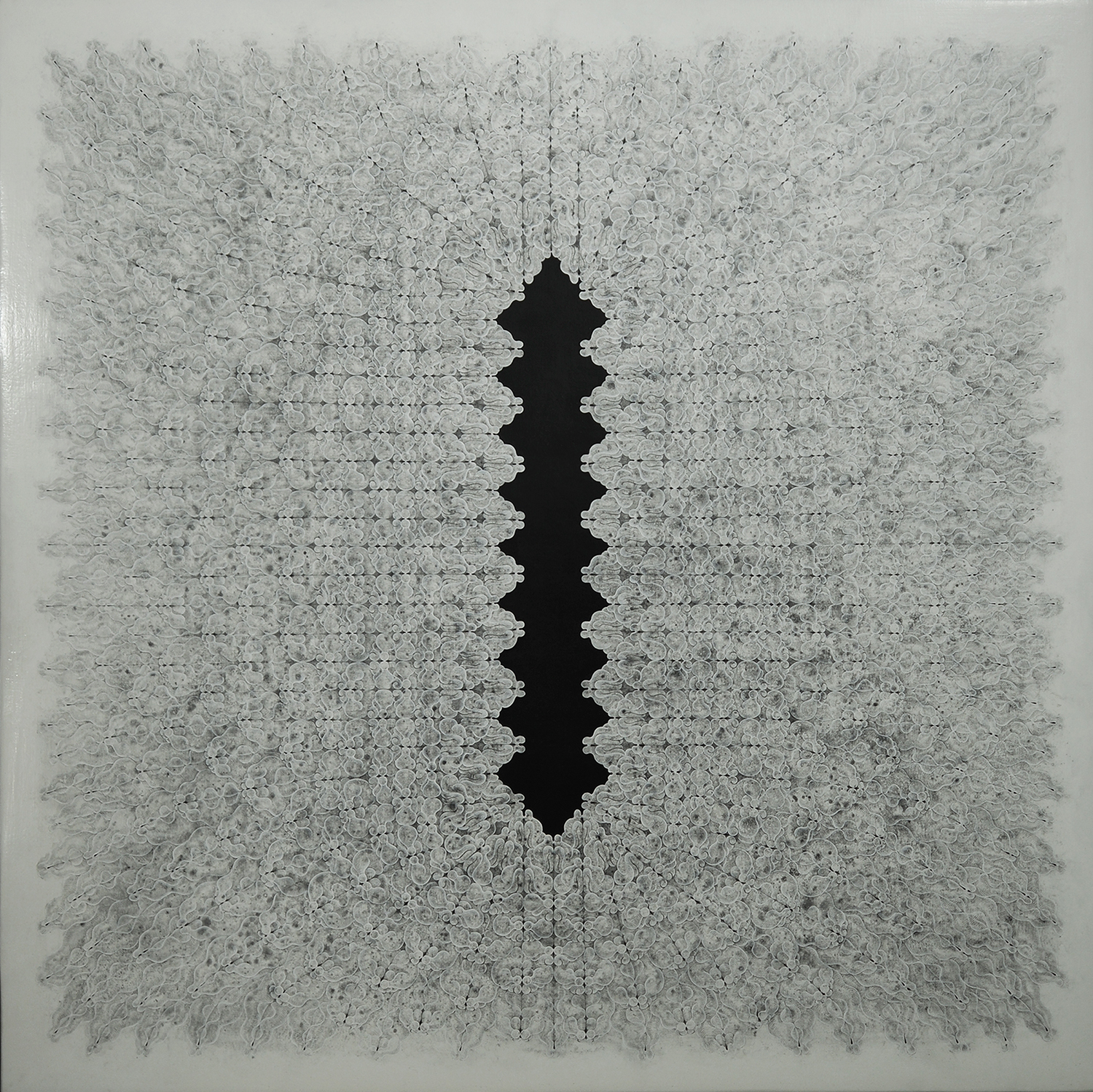| Carol Prusa