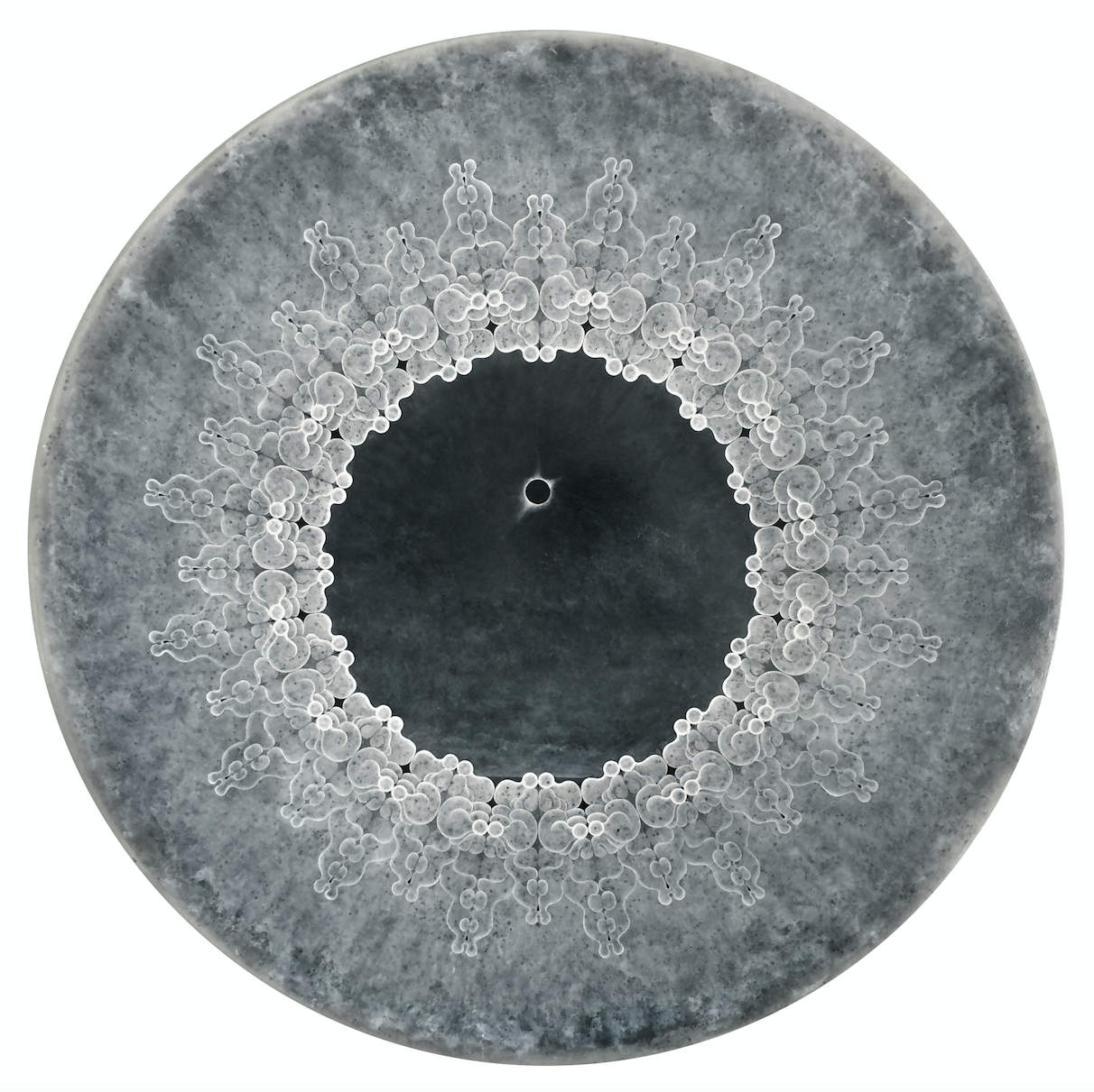 Totality | Carol Prusa