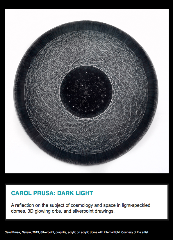 Carol Prusa | Visual Artist