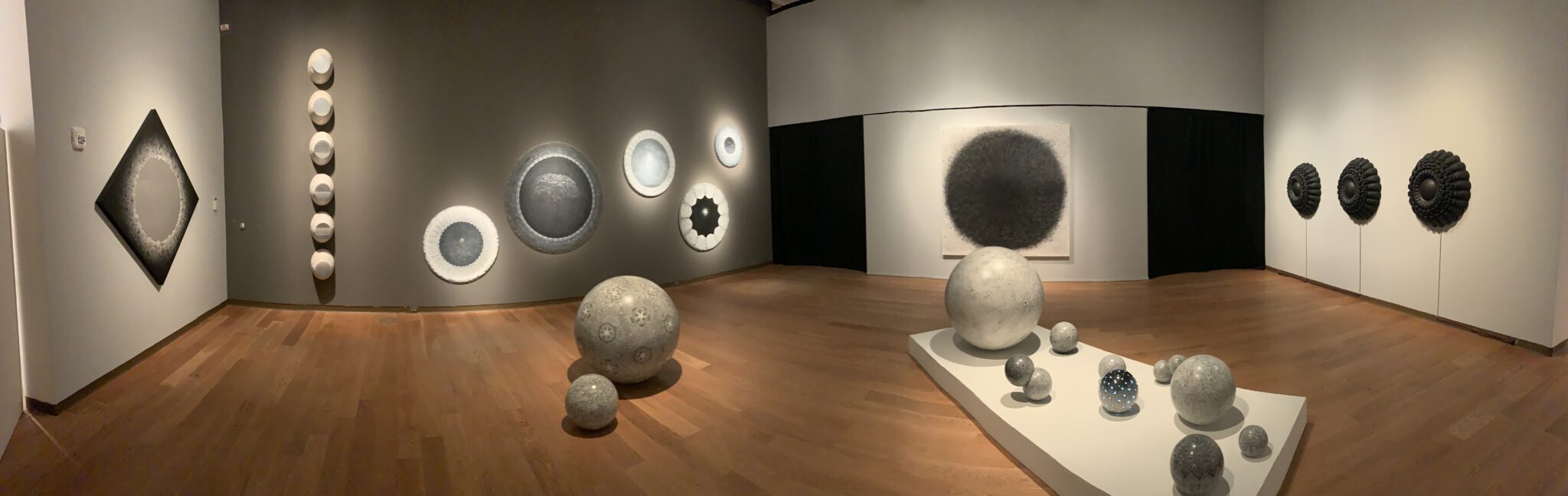 Carol Prusa | news
