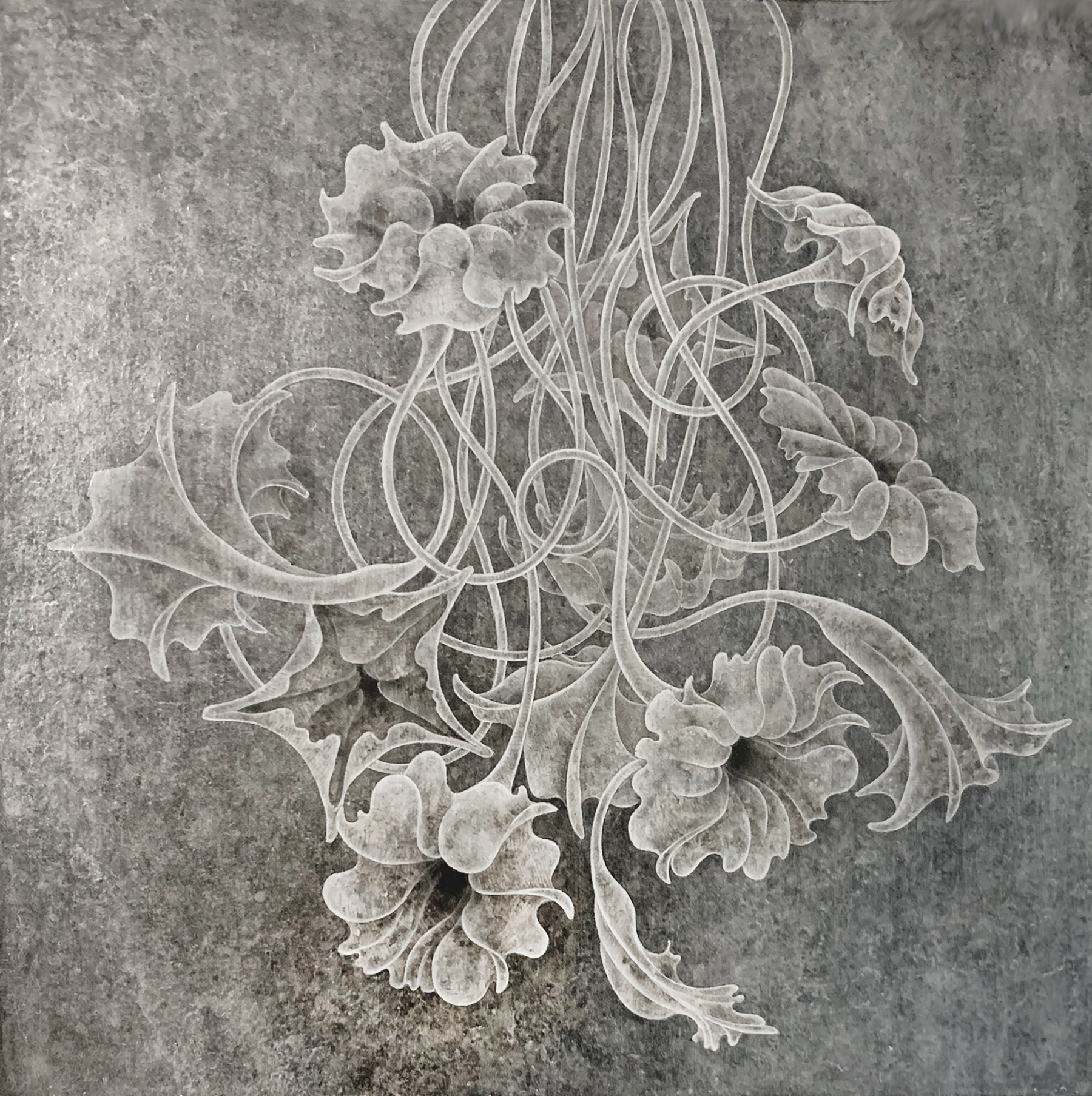 Carol Prusa | Portfolio