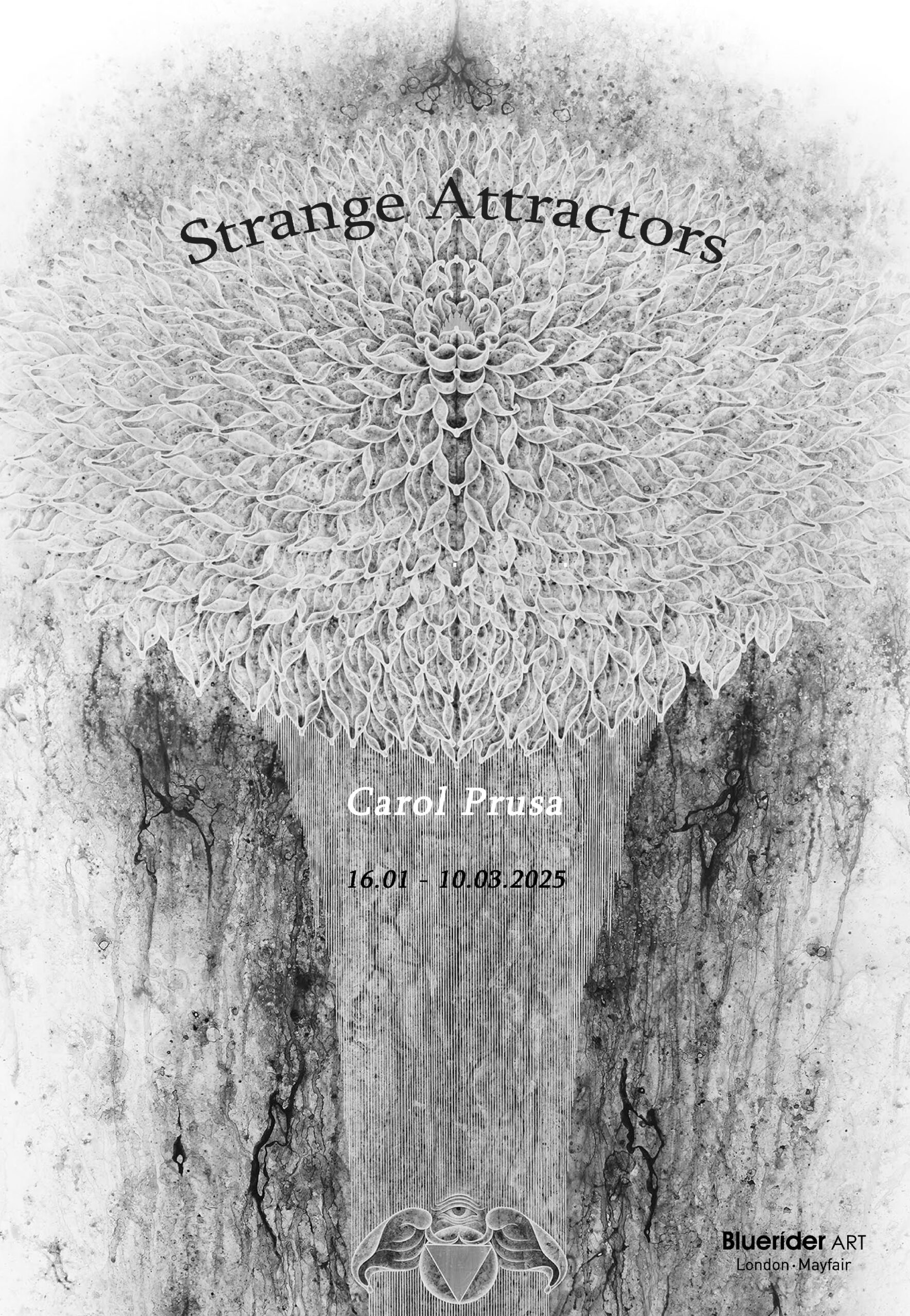 Carol Prusa | news